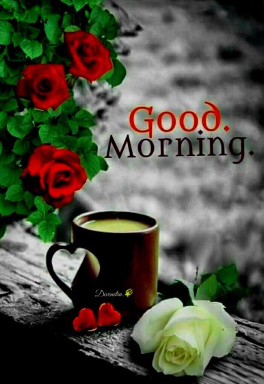 ᐅTop143+ Best Very Good Morning Images, Pictures