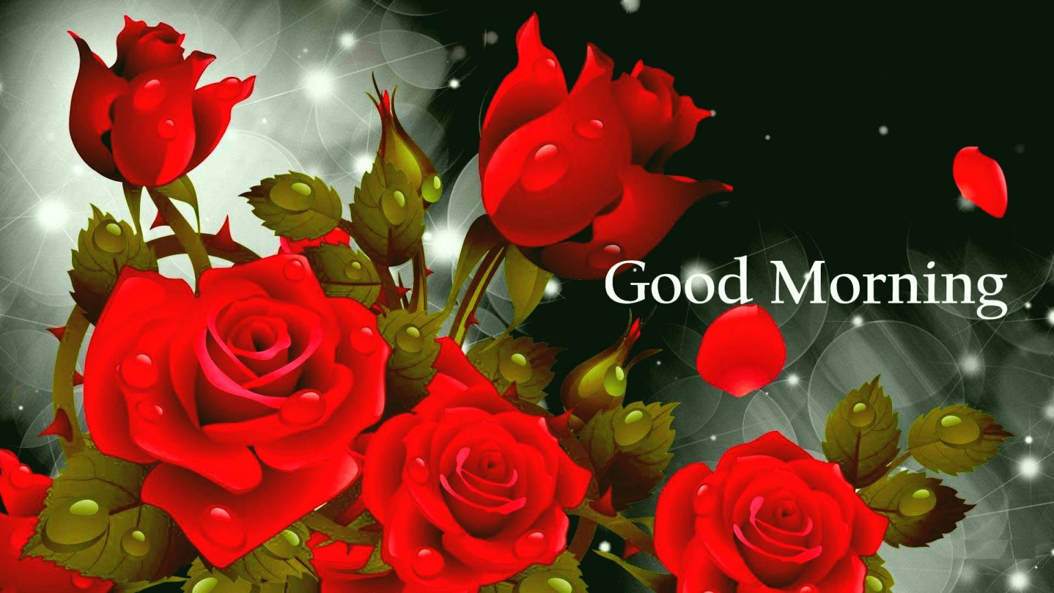 ᐅ143+ Good Morning Images HD, Morning Pictures, Wishes