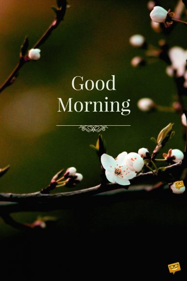 ᐅ143+ Good Morning Images HD, Morning Pictures, Wishes