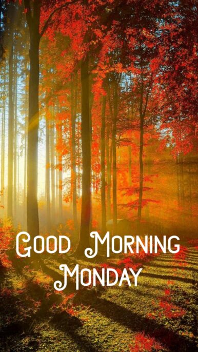 ᐅTop143+ Good Morning Monday, Images, Pictures, Photos