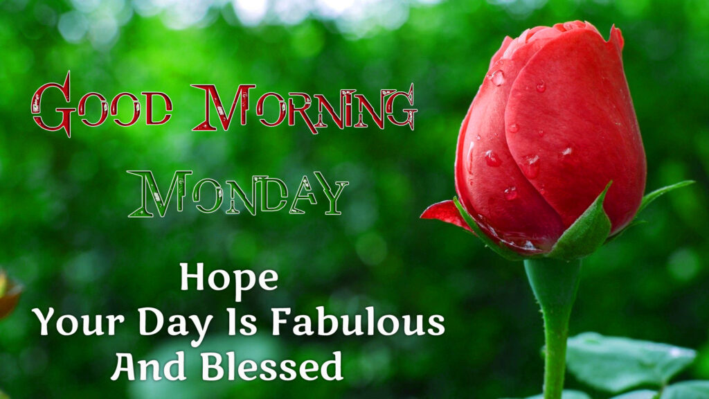 ᐅTop143+ Good Morning Monday, Images, Pictures, Photos