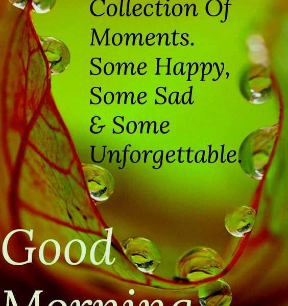 Life is a Collection Of Moments. Some Happy, Some Sad & Some Unforgettable.