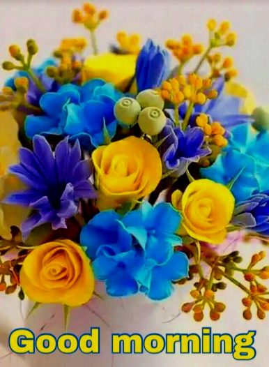 ᐅTop143+ Good Morning Wishes Images, Morning Pictures