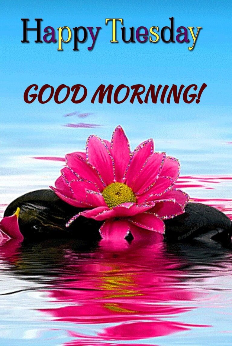 ᐅTop143+ Good Morning Tuesday Images, Pictures, Photos