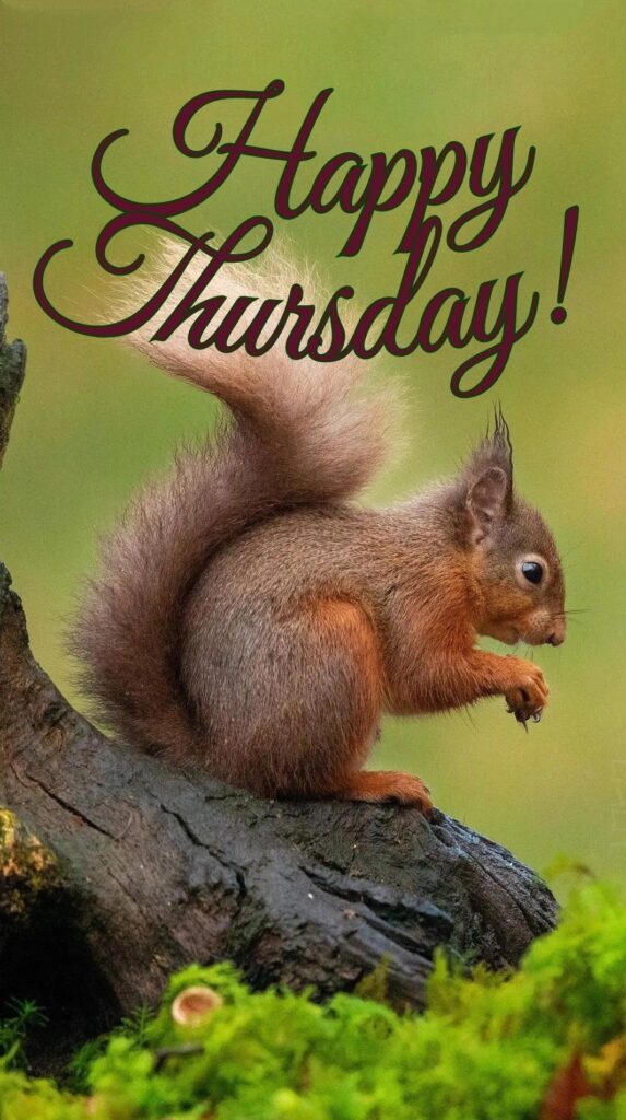 ᐅTop969+ Happy Thursday Images, Pictures, Photos, GIFs