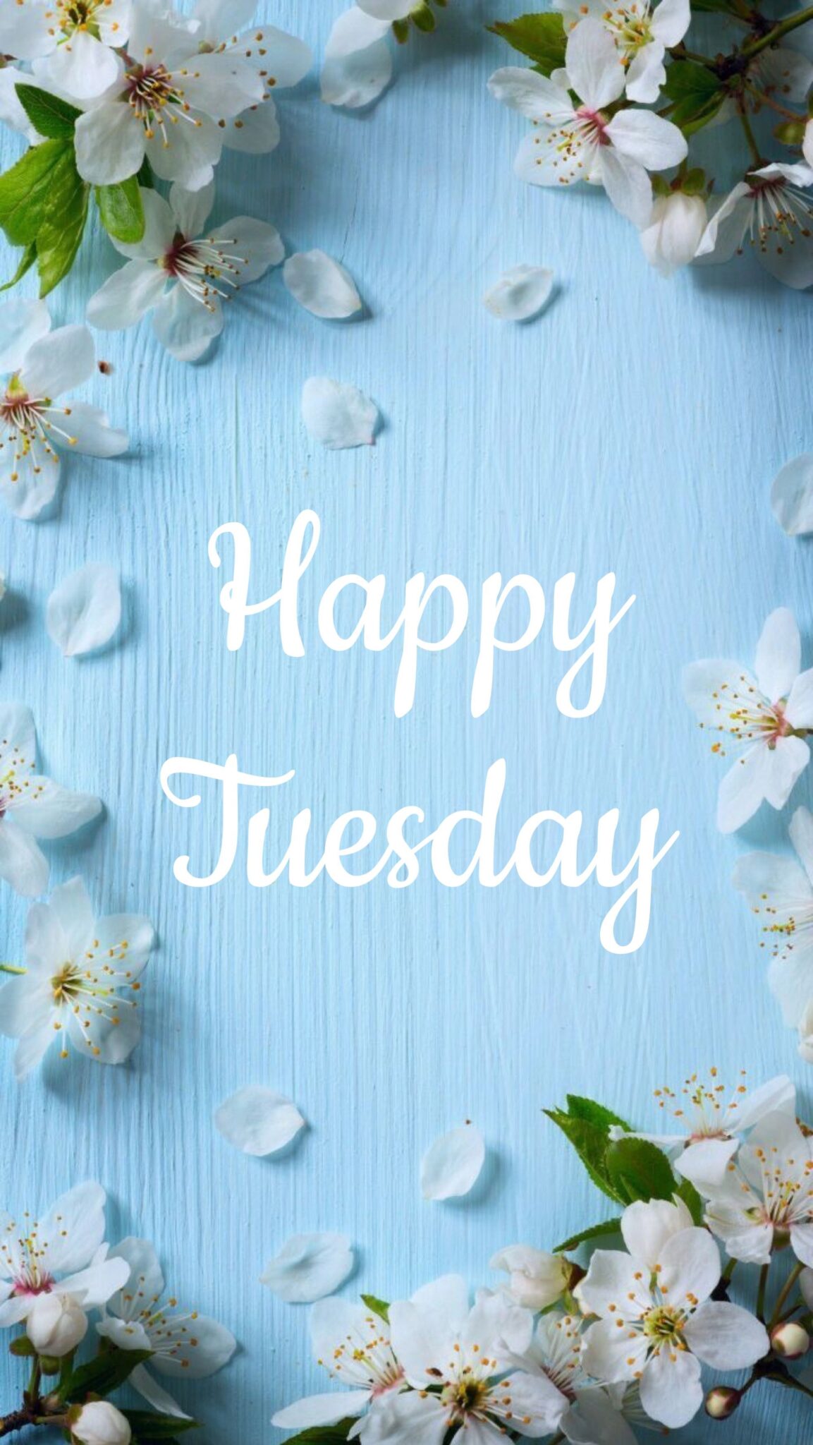 ᐅTop143+ Happy Tuesday Images, Pictures, Photos, GIFs