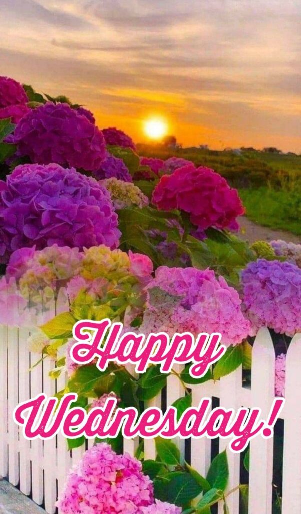 ᐅTop143+ Happy Tuesday Images, Pictures, Photos, GIFs