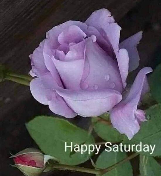 Chilly good morning images