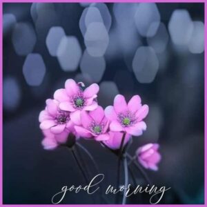 Good morning purple images