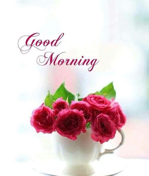 Sweet Good Morning images